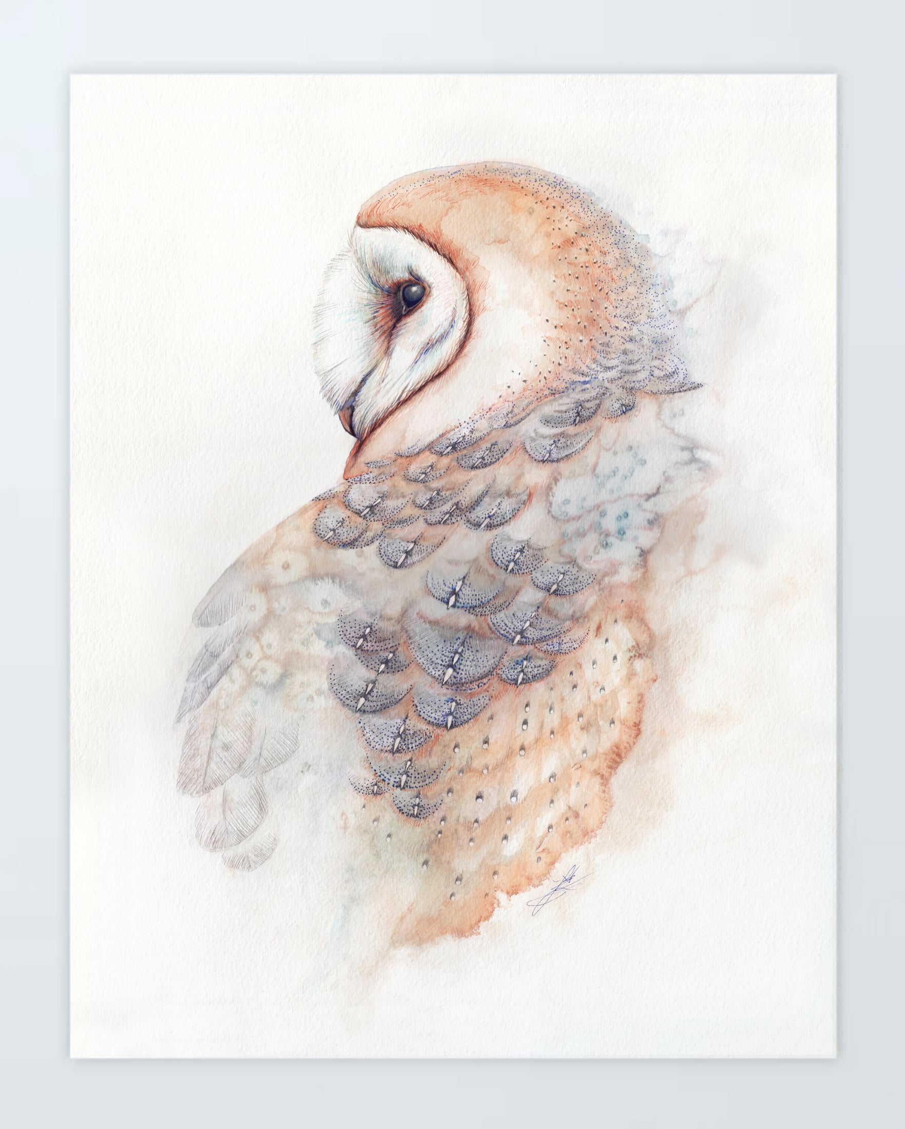 Barn Owl: Print – Lindsay van Ekelenburg